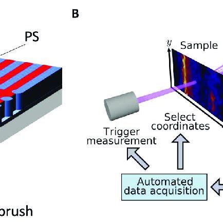 Schematics Of The Experimental Approach A DSA Of A 1 1 Blend Of Download Scientific Diagram