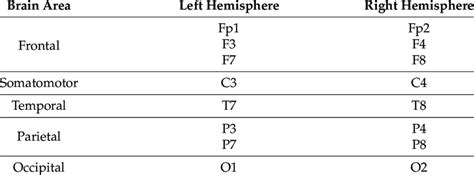 Selected Sections Of The Brain For Data Analysis Download Scientific Diagram