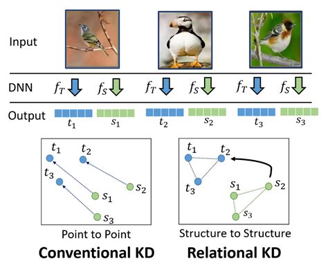 Knowledge Distillation