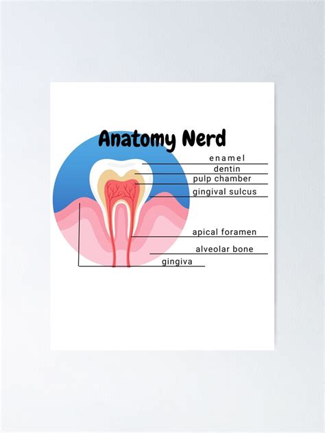 Anatomy Nerd Poster For Sale By Pinex Redbubble