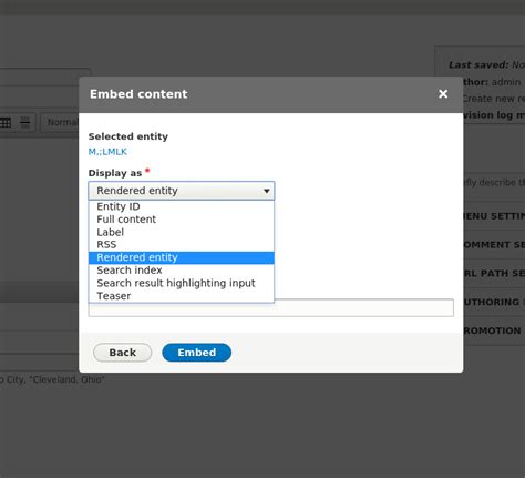 Treat Each View Mode In Rendered Entity Formatter As A Standalone