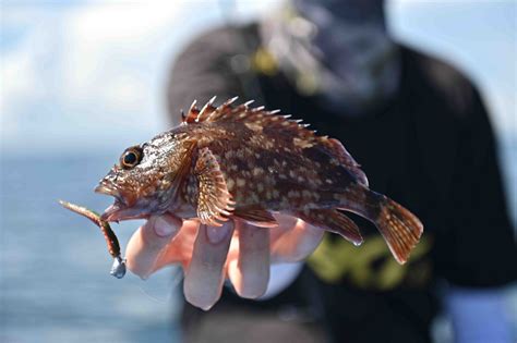 Treble Hooks All Treble Hooks Archives Bkk Hooks International