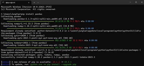 Python 파이썬 판다스pandas 설치 다운로드 하기 버전 확인