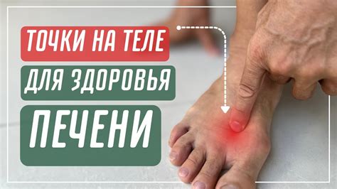 Как улучшить работу печени Китайская медицина Роман Полежаев Youtube