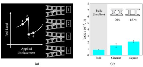 A Snapshots Of The Fracture Process And Corresponding Locations On Download Scientific