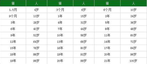 貓咪一歲相當於人幾歲 貓的壽命是多少年 壹讀