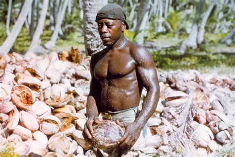 The Haunting Legacy Of Diego Garcia A Stolen Paradise And The Fight