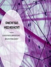 Understanding Connective Tissues Types Functions And Course Hero
