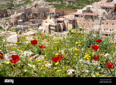 Mar saba hi-res stock photography and images - Alamy