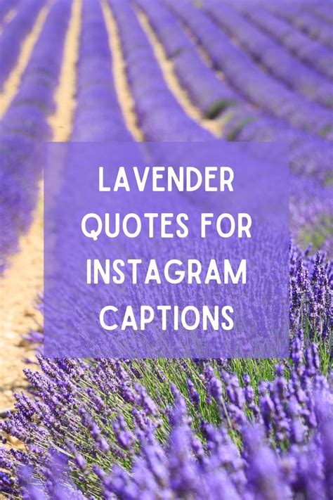 Whether Youre Posting A Photo Of Yourself Surrounded By Fields Of