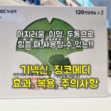 기넥신 에프정80mg 징코메디 귀이명 어지러움에 효과적일까 네이버 블로그