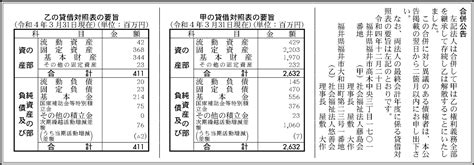 社会福祉法人悠善会 乙の貸借対照表の要旨 官報決算データベース