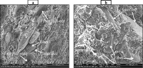 Sem Micrograph Of Uncompatibilized And Compatibilized Pbs Composites