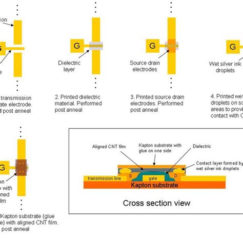 Schematic Of Bottom Gate Integration For Our Cnt Tft Which Acts As A Download Scientific