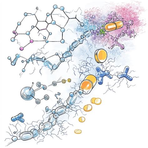 A Diagram Of The Interaction Between Drugs And Enzymes Involved In Drug
