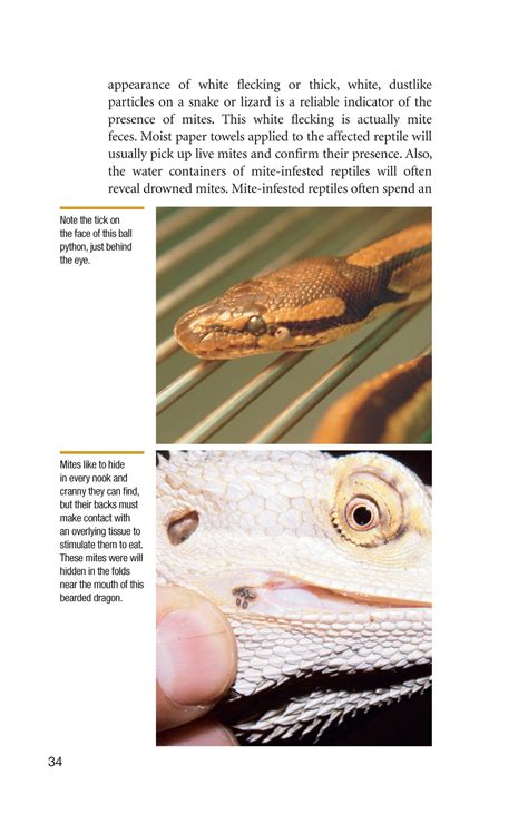 Understanding Reptile Parasites Advanced Vivarium Systems Fox