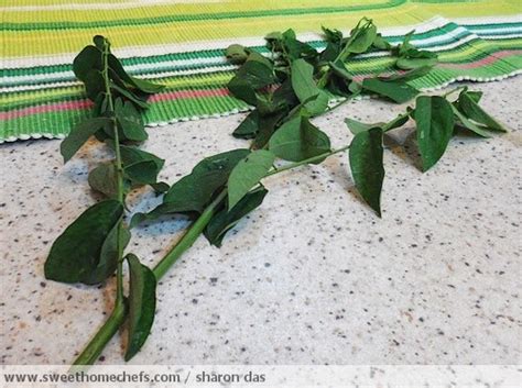Sweet Home Chefs Sweet Leaf Sayur Manis