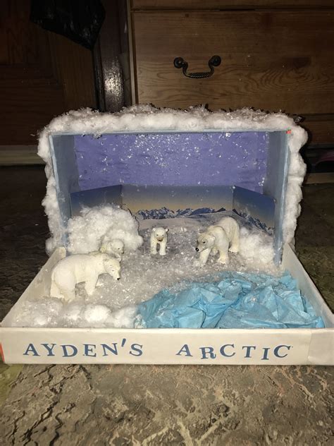 Polar Bear Habitat Diorama