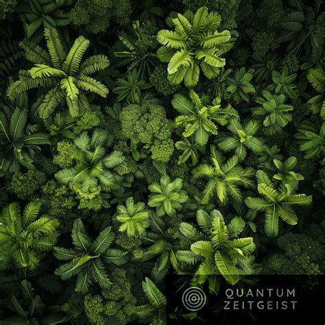 Quantum Machine Learning A New Frontier In Climate Change Solutions