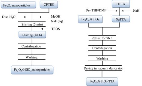 4 The Flow Diagrams Show Preparation Schemes Of The Fe3o4sio2 Left