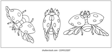 Set Linear Sketches Flying Ladybug Insectsvector Stock Vector Royalty Free 2199513207