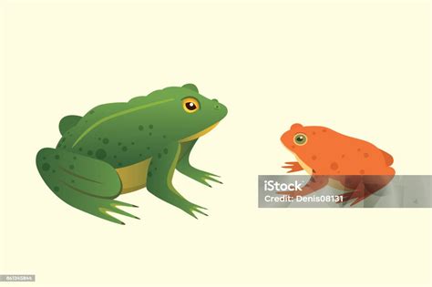 Set Amfibi Eksotis Katak Dalam Gaya Yang Berbeda Ilustrasi Vektor
