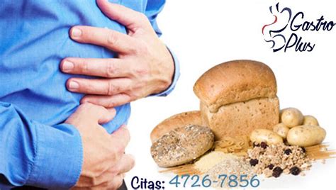 Enfermedad CelÍaca Intolerancia Al Gluten ¿qué Es La Enfermedad