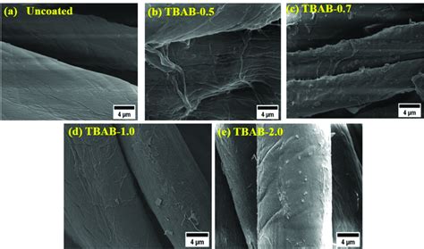 Ae Detailed Surface Topographies Of The Uncoated And Coated Samples