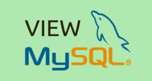 View In Mysql