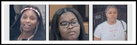 Help Identify Petty Theft Suspects