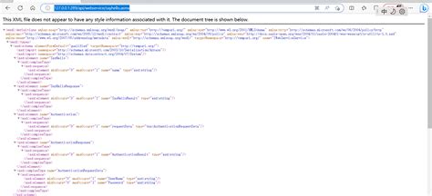 在surging 微服务引擎下如何搭建webservice和身份验证 Fanly11 博客园