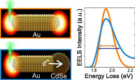Optimal Geometry For Plasmonic Hot Carrier Extraction In Metalsemiconductor Nanocrystals Acs Nano