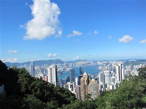 2025太平山顶游玩攻略 建议夜晚游览太平山 可以俯瞰 去哪儿攻略
