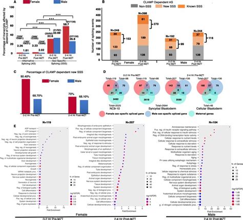 Sex Specific Splicing Occurs Genome Wide During Early Drosophila