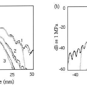 Illustration Of The Use Of Pulse Inversion For Tissue Harmonic Imaging Download Scientific