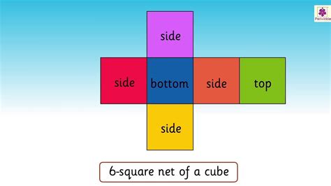 Cube Net