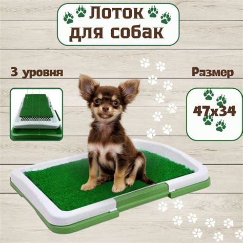 Лоток для собак,приучение к туалету собак - купить с доставкой по ...