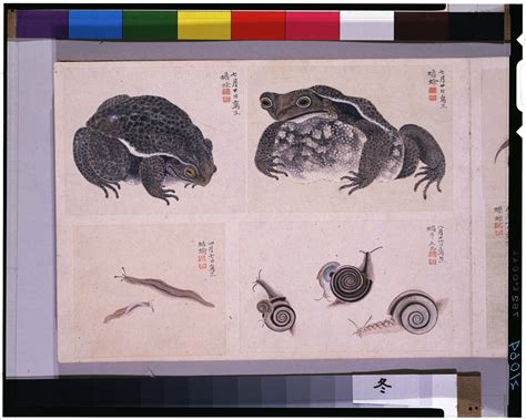 C0021064 虫豸帖 東京国立博物館 画像検索