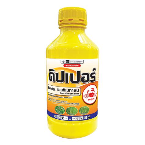 Dipper Website Formular A