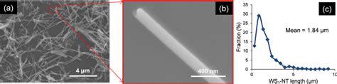 A Sem Micrograph Of The Ws2 Nanotubes And B The Magnified Detail