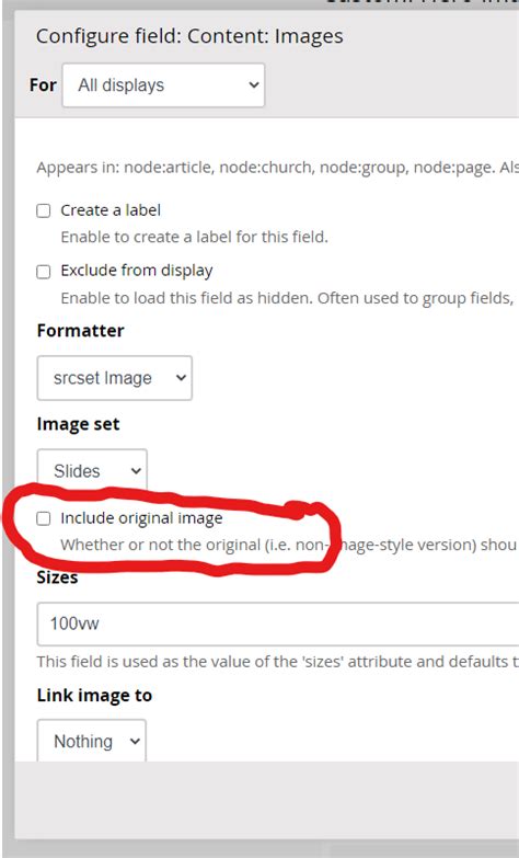 Original Image Is Still Included As Src Even If Include Original Image