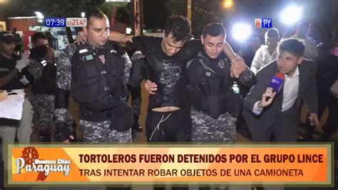 Npy Oficial On Twitter 📌 Linces Detienen A Supuestos Tortoleros Tras