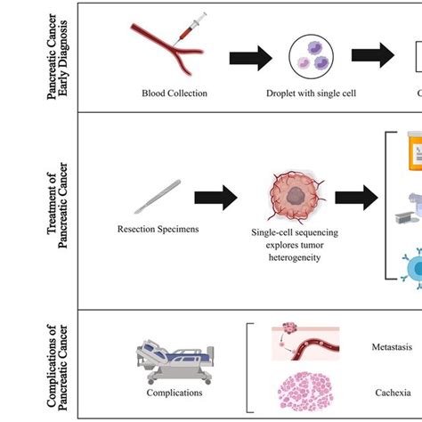 Applications Of Single Cell Sequencing Technology In The Diagnosis And Download Scientific
