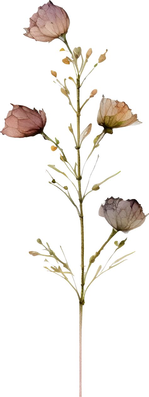 Global Cobalt Mining And Processing Environmental And Social Impacts — More Than Sustainability