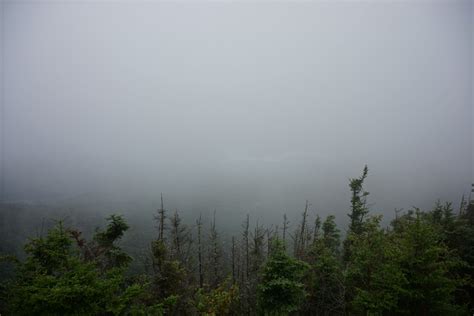 무료 이미지 숲 산 안개 아침 언덕 날씨 이슬비 자연 환 경 대기 현상 6000x4000 33781 무료 이미지 Pxhere