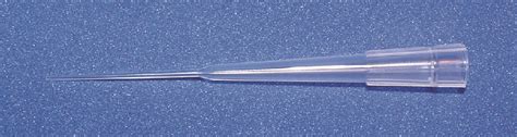 Mbp Gel Loading Pipette Tips 200 µl Thermo Scientific Pipette Tips Mbp Gel Loading Pipette Tips 200 µl Thermo Scientific Pipette Tips