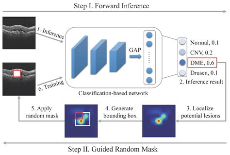 Guided Random Mask Adaptively Regularizing Deep Neural Networks For Medical Image Analysis By