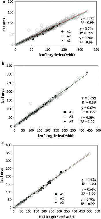 Linear Regression Between The Product Of Leaf Length By Leaf Width Cm
