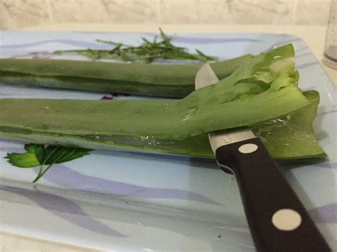 How To Use Fresh Aloe Vera For Natural Hair