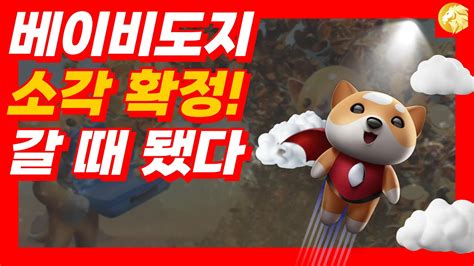 베이비도지 소각 확정 갈 때 됐다 베이비도지코인 Youtube